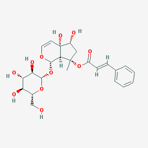 TCMSP - Traditional Chinese Medicine Systems Pharmacology Database and ...